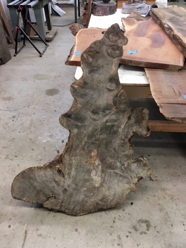 A Coffee Table From a Burl Slab, Part 1 | Popular Woodworking