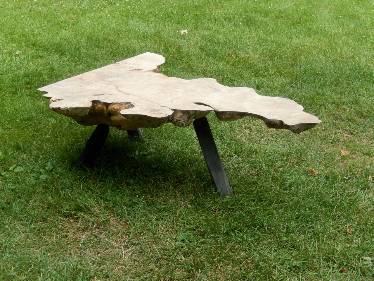 A Coffee Table From a Burl Slab, Part 3 | Popular Woodworking