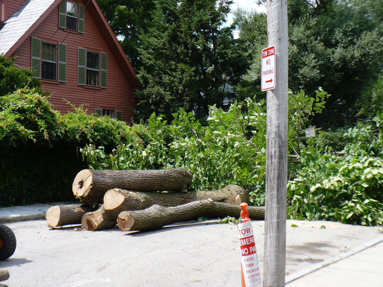 Lisa’s Slab Desk, Part 1 | Popular Woodworking