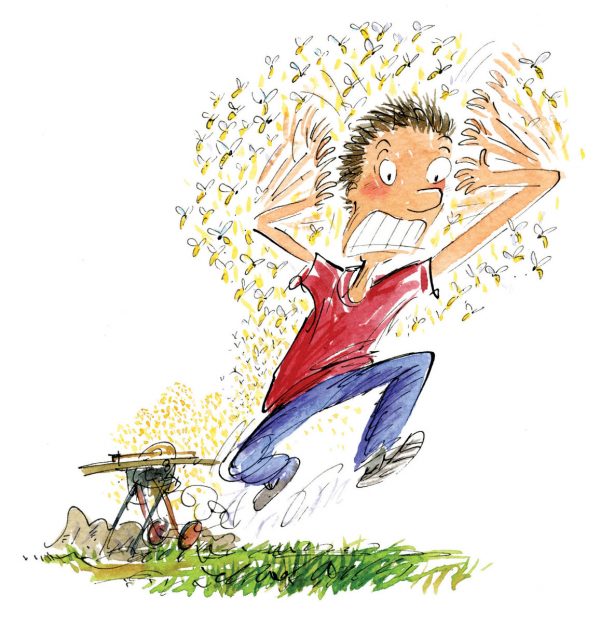 Flying Sawdust | Popular Woodworking