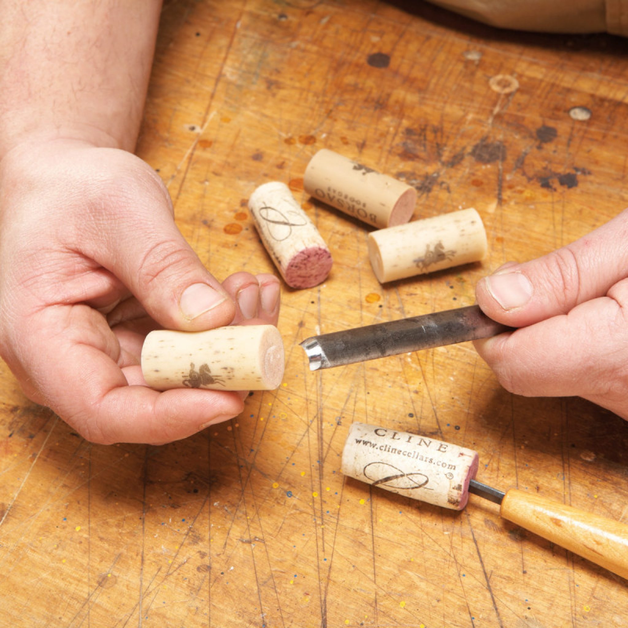 The Secrets of Spalted Maple | Popular Woodworking