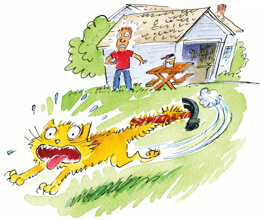 Hammered Cat | Popular Woodworking