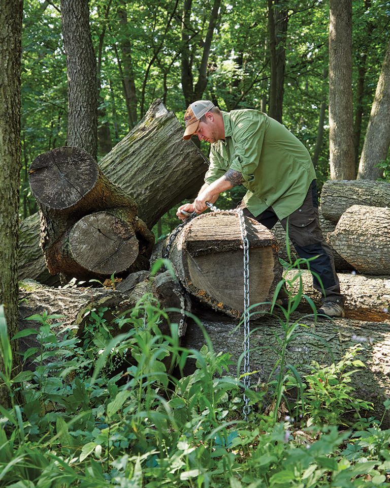 Milling Your Own Lumber | Popular Woodworking