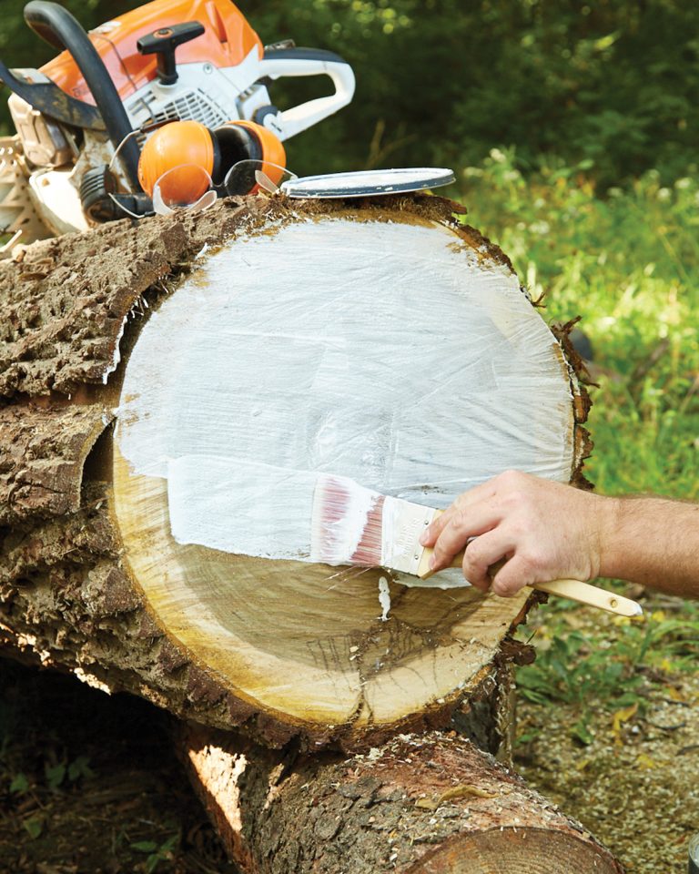 Milling Your Own Lumber | Popular Woodworking