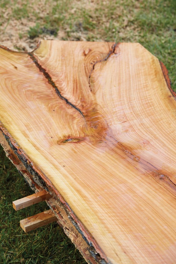 Milling Your Own Lumber | Popular Woodworking