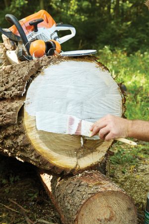 Milling Your Own Lumber | Popular Woodworking