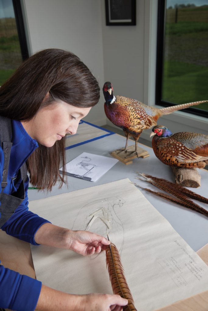 Carve a Ringneck Pheasant | Popular Woodworking