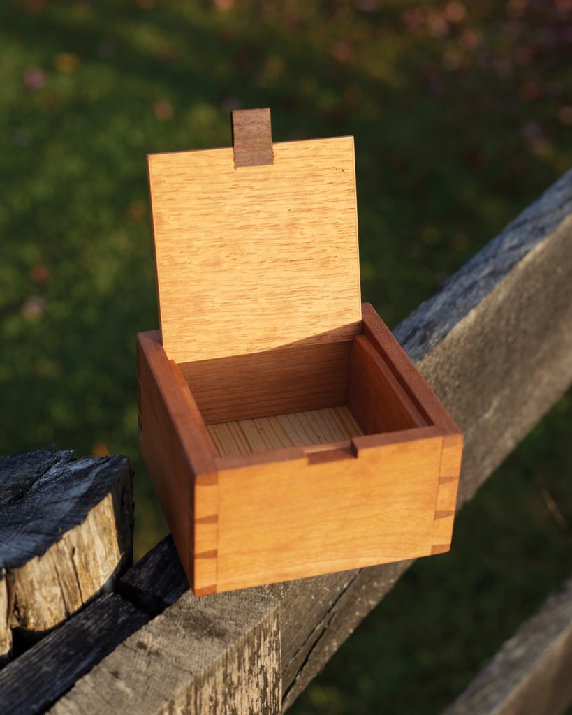Dovetailed Box | Popular Woodworking