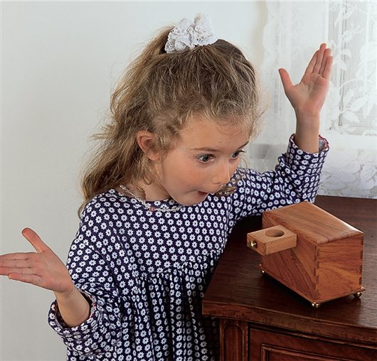 Magic Coin Bank | Popular Woodworking