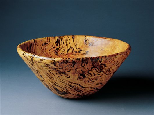 Spalted Wood | Popular Woodworking